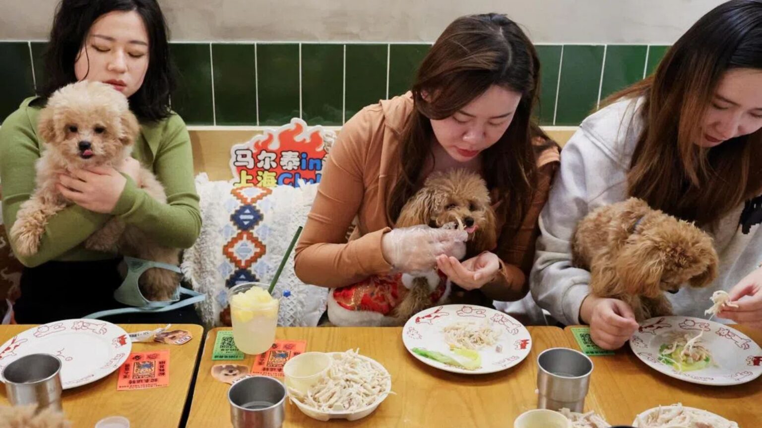 700 Best Chinese Pet Names with Meanings for 2026