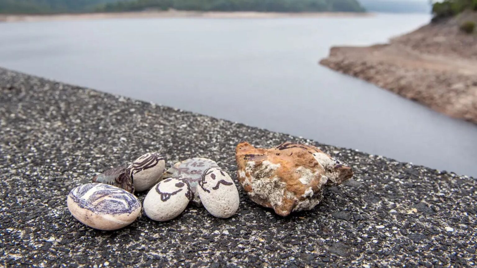 400 Best Pet Rock Names With Meanings for 2026