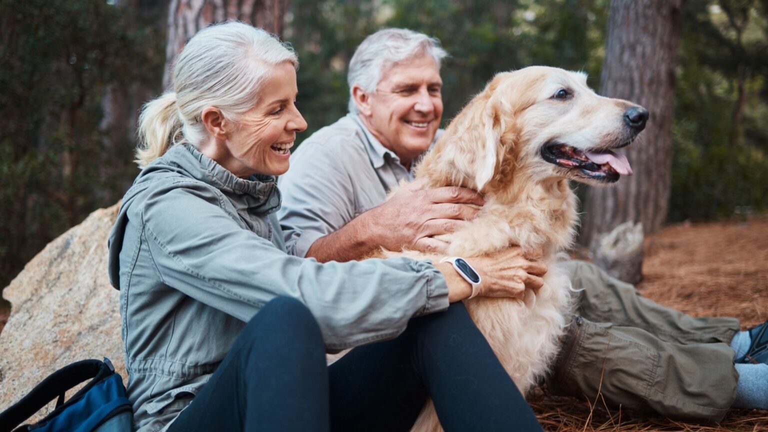 500 Best Old Man Dog Names with Meanings for 2026