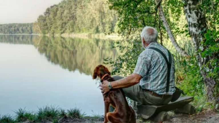500 Best Old Man Dog Names with Meanings for 2026