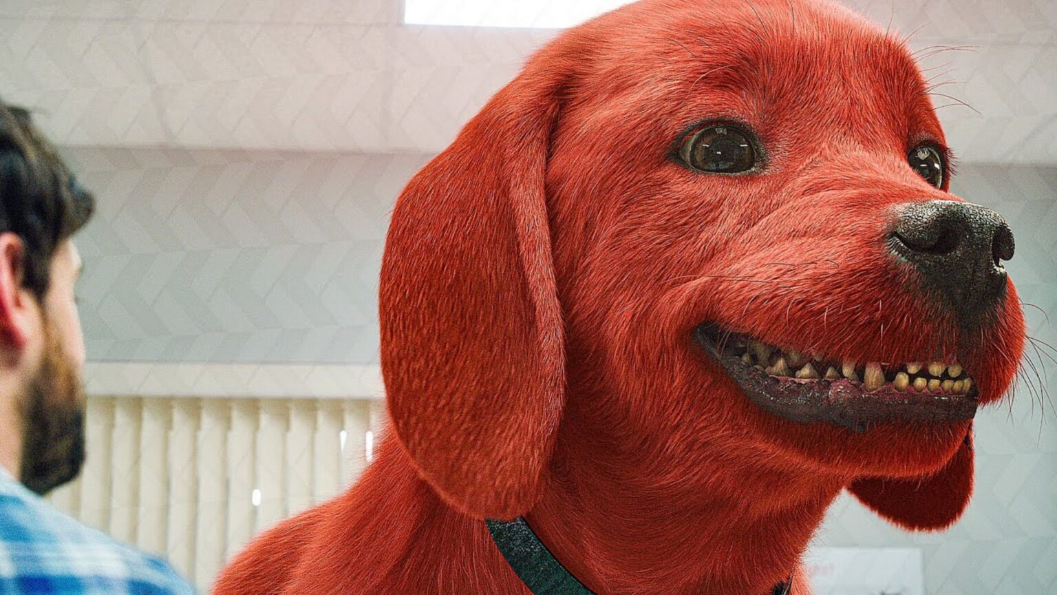 450 Best Red Dog Names with Meanings for 2026